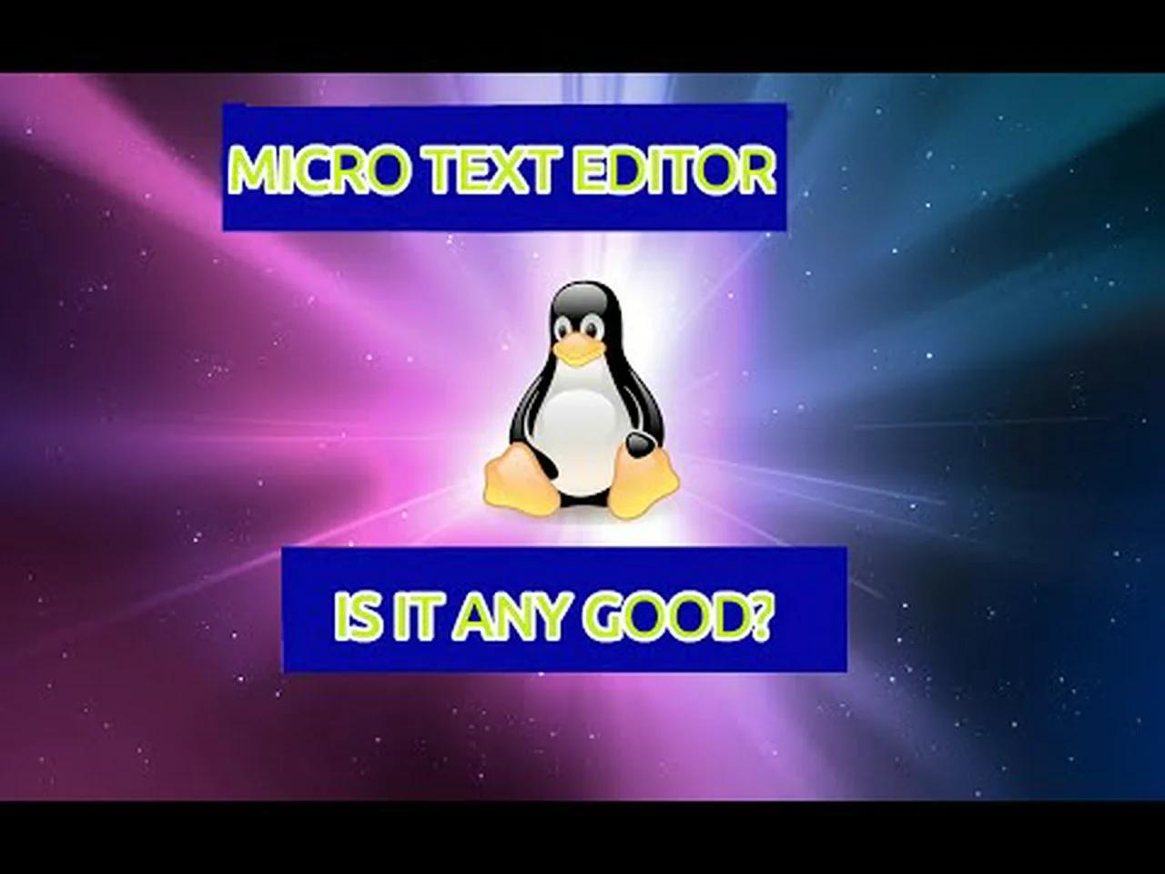 Micro Text Editor