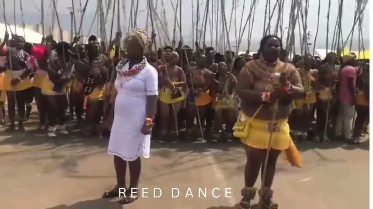 Reed Dance Zulu - Reed Dance