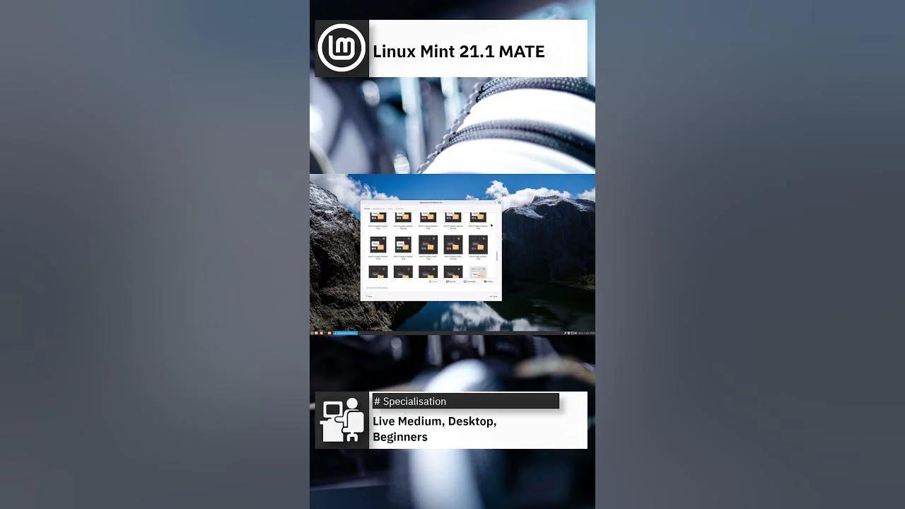 Linux Mint 21.1 “Vera” MATE Quick Overview #shorts