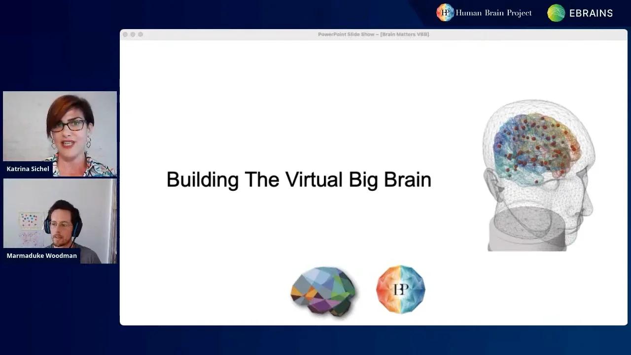 Human BRAIN Project Introduction to The E-BRAINS Virtual Big Brain ...