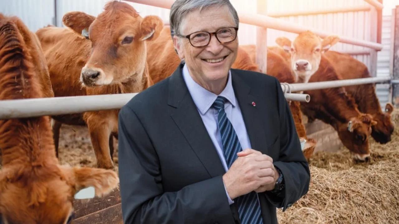 BILL GATES WANTS AI MEAT - Genetically Modified Cow Blobs With Nano ...