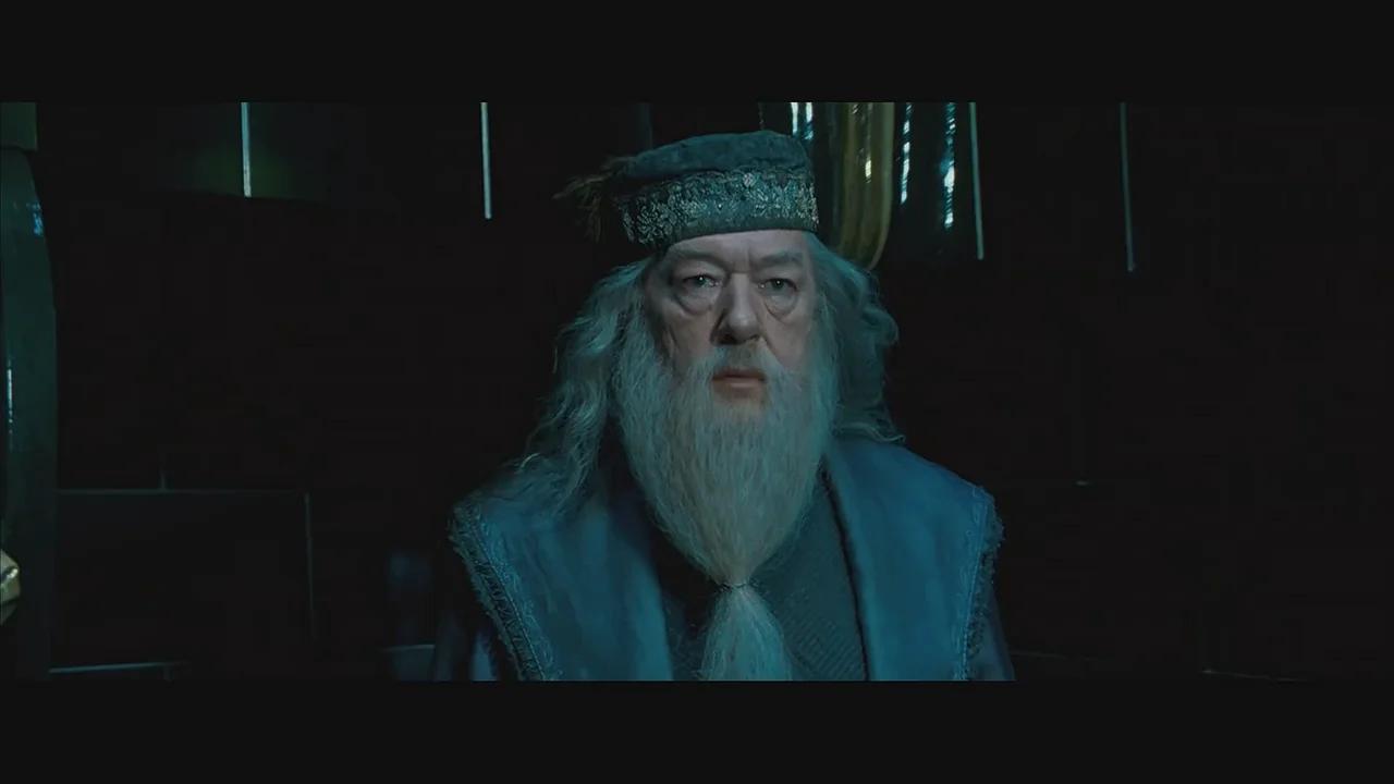Harry Potter and the Order of the Phoenix Wizard Battle Dumbledore vs ...