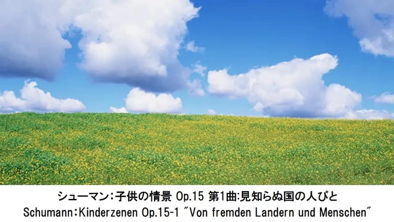 静かなクラシック名曲集・Quiet Classical Music Collection（長時間作業用BGM)