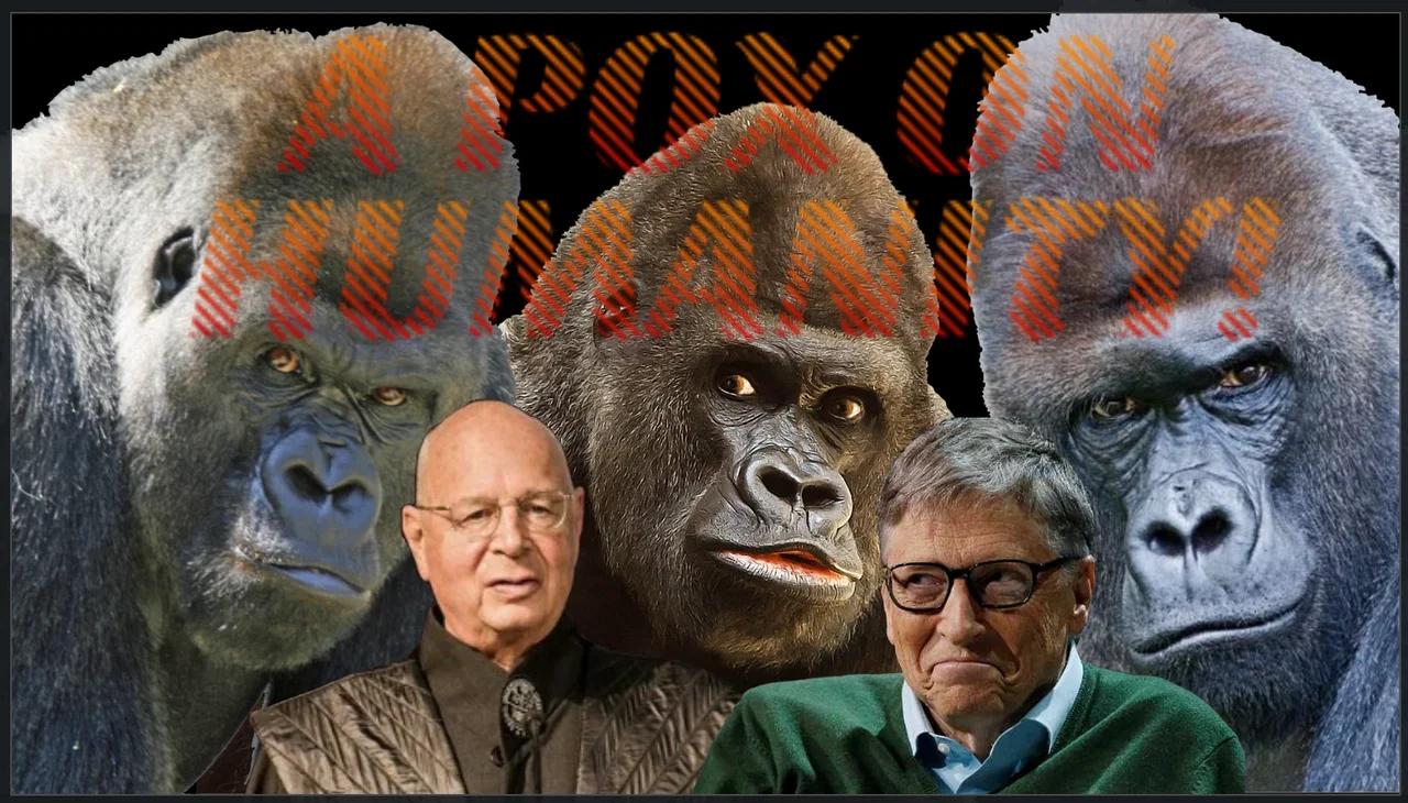 A POX ON HUMANITY! | LIVE! Floatshow [8PM EST]