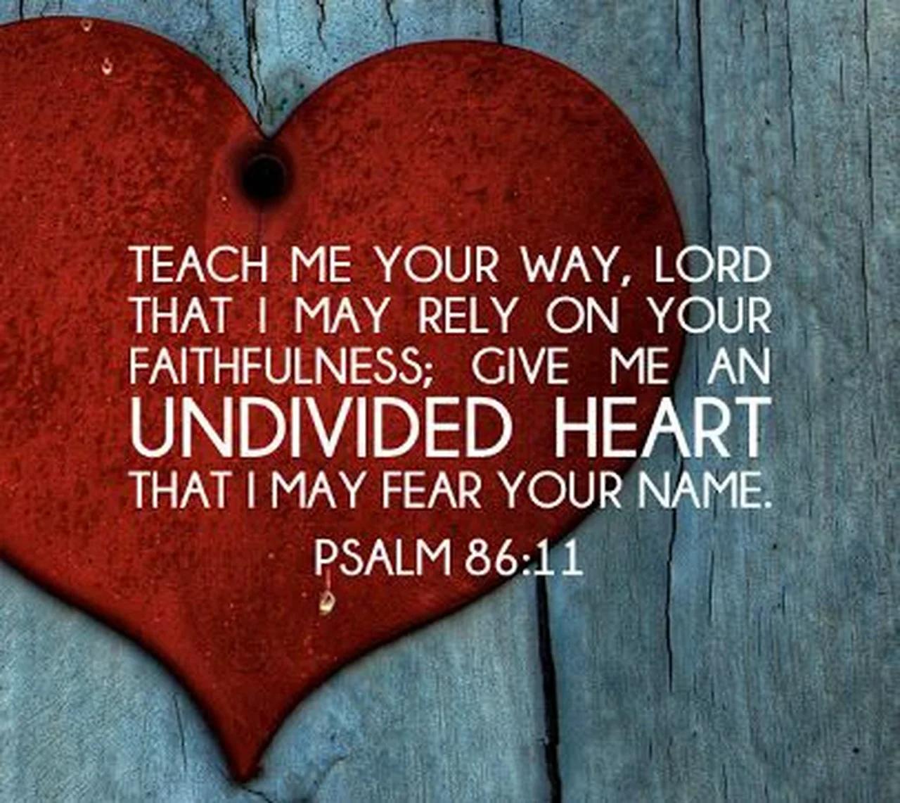 Not just that youtube chNnel, dear mr yoder