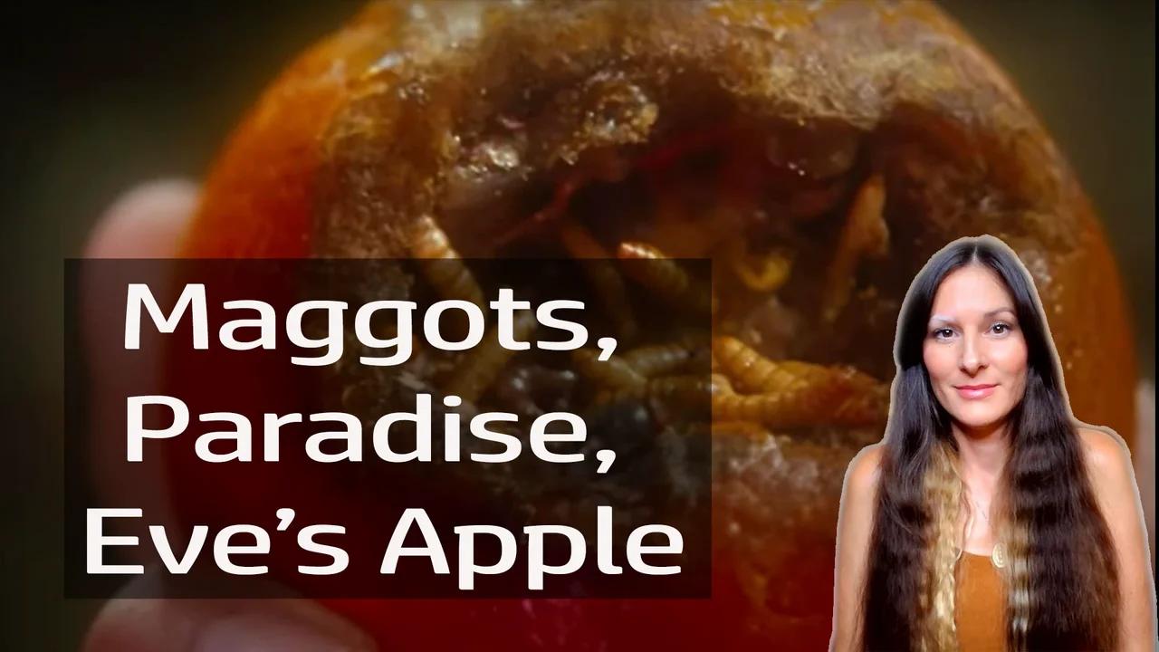 The truth about paradise and why you have maggots in Eve's Apple ...