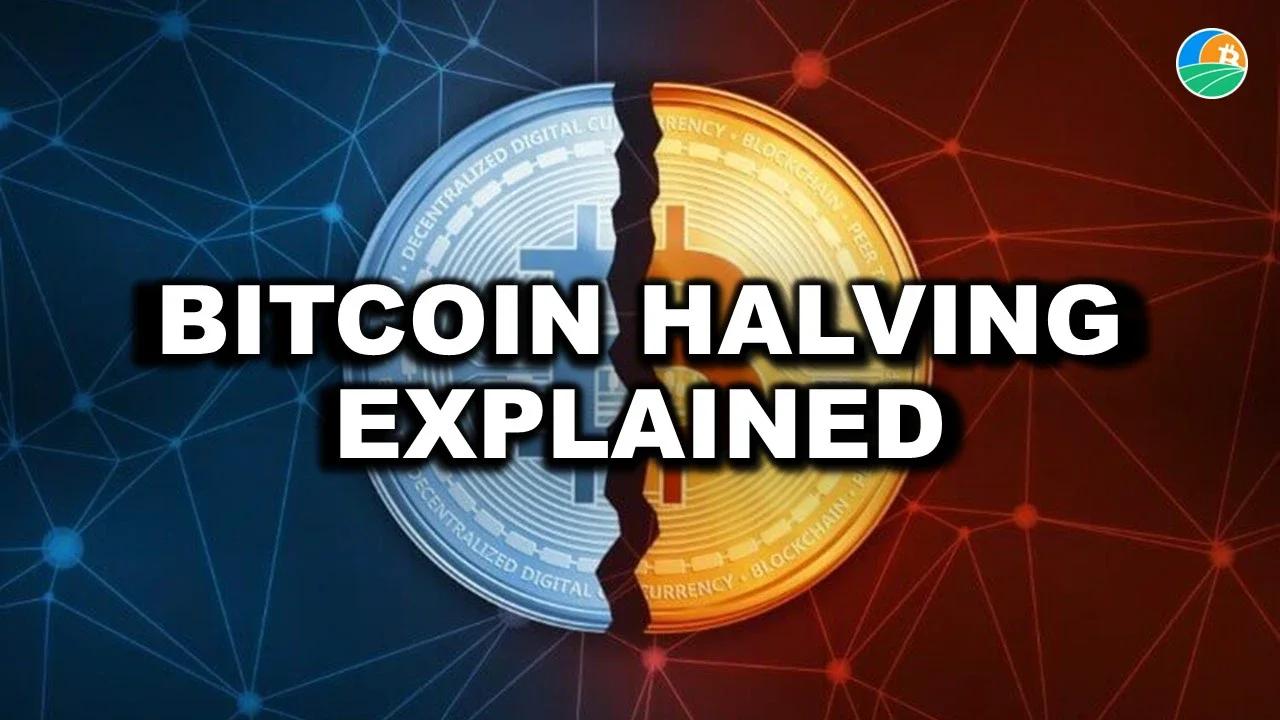 Bitcoin halving explained