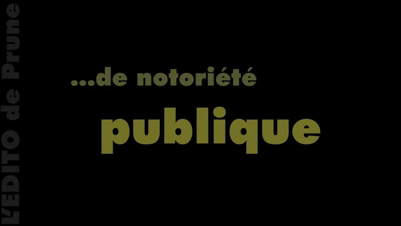DE NOTORIÉTÉ PUBLIQUE - La Chibritte de la République