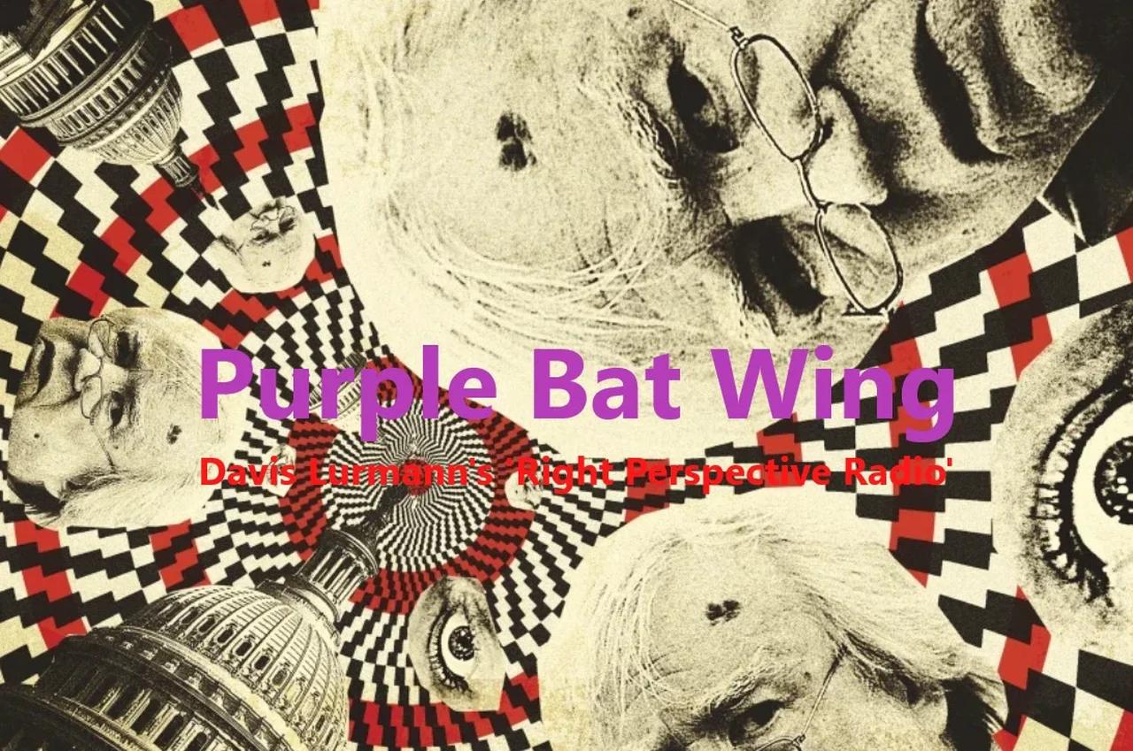 Dr. James Fetzer's 'Purple Bat Wing' Dissertation (Davis Lurmann's ...
