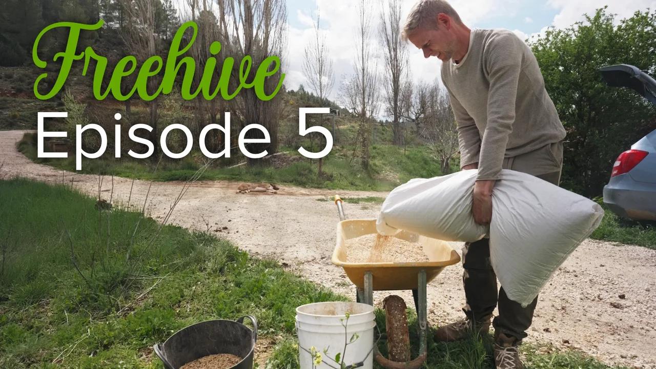 #5 Sowing green manure — Turning an off-grid farm house & land into a ...