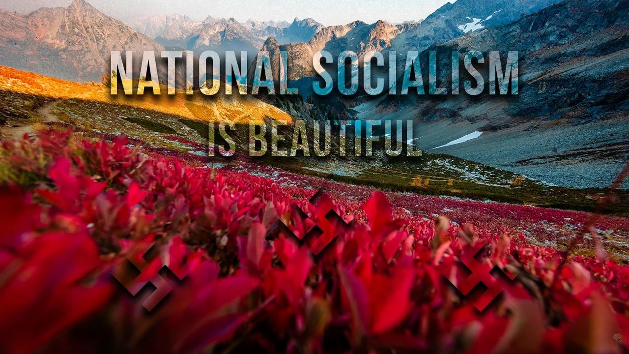 National Socialism Is Beatiful - 📌 This post is for those who want to ...