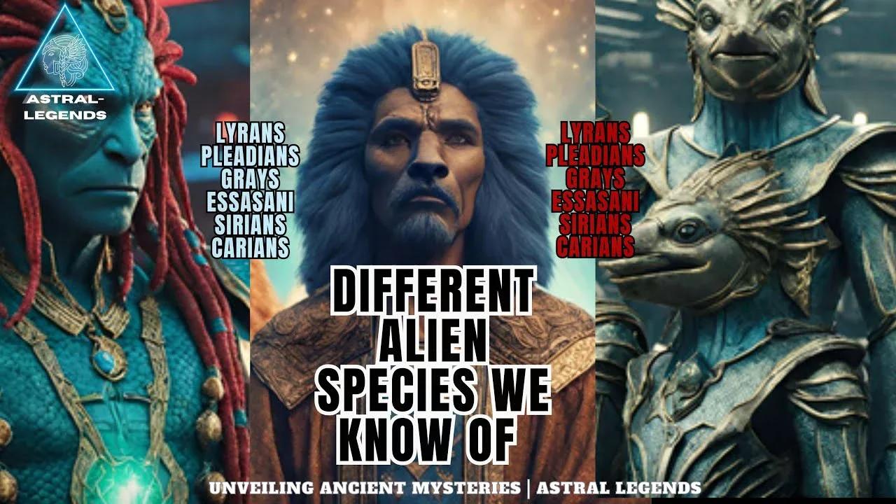Different Extraterrestrial Species That We Know Of Overview