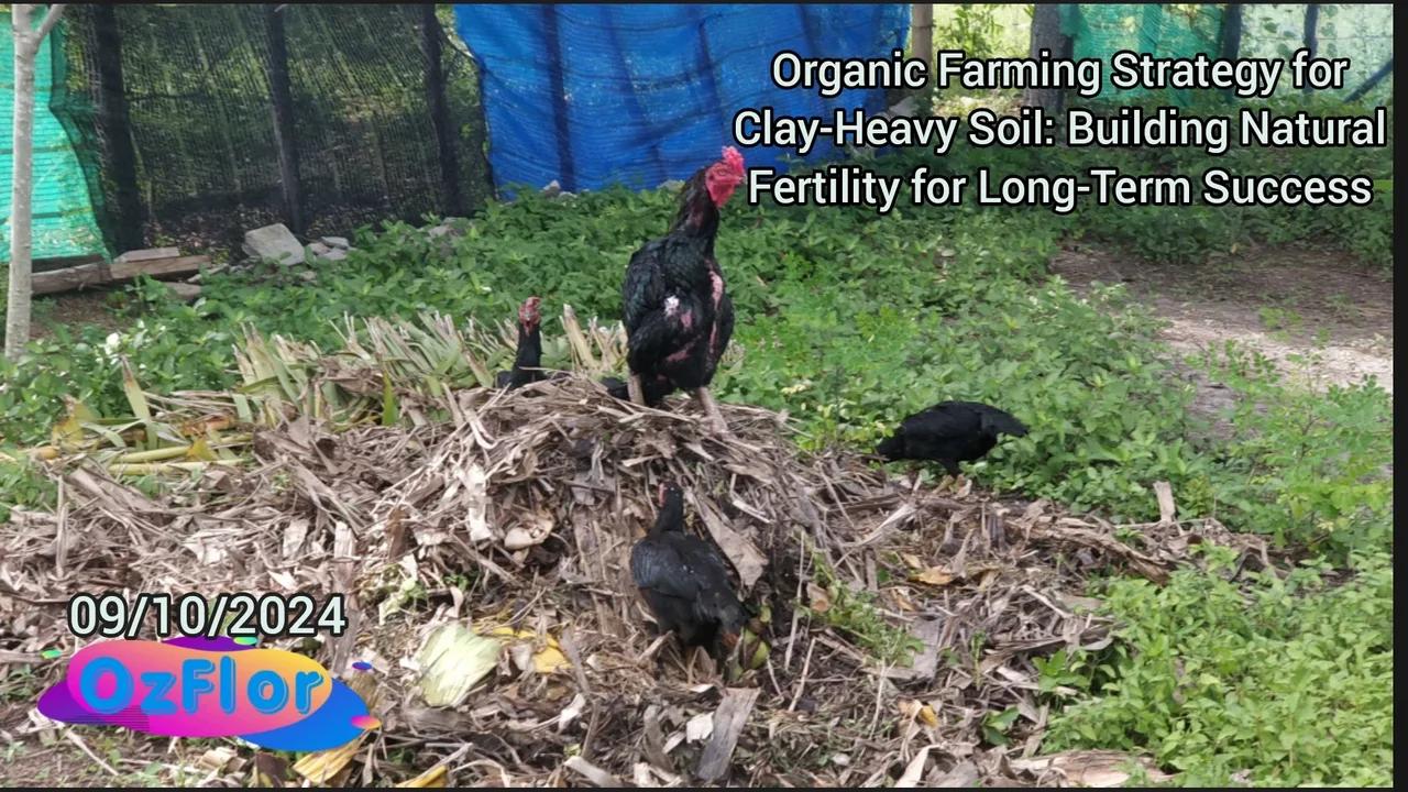 Organic Farming Strategy for Clay-Heavy Soil: Building Natural ...
