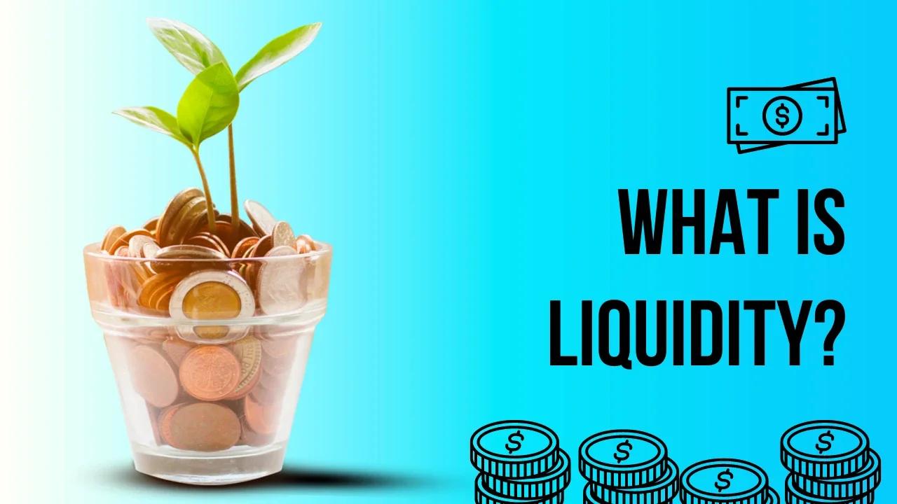 What is Liquidity and how important is Liquidity in ensuring that ...