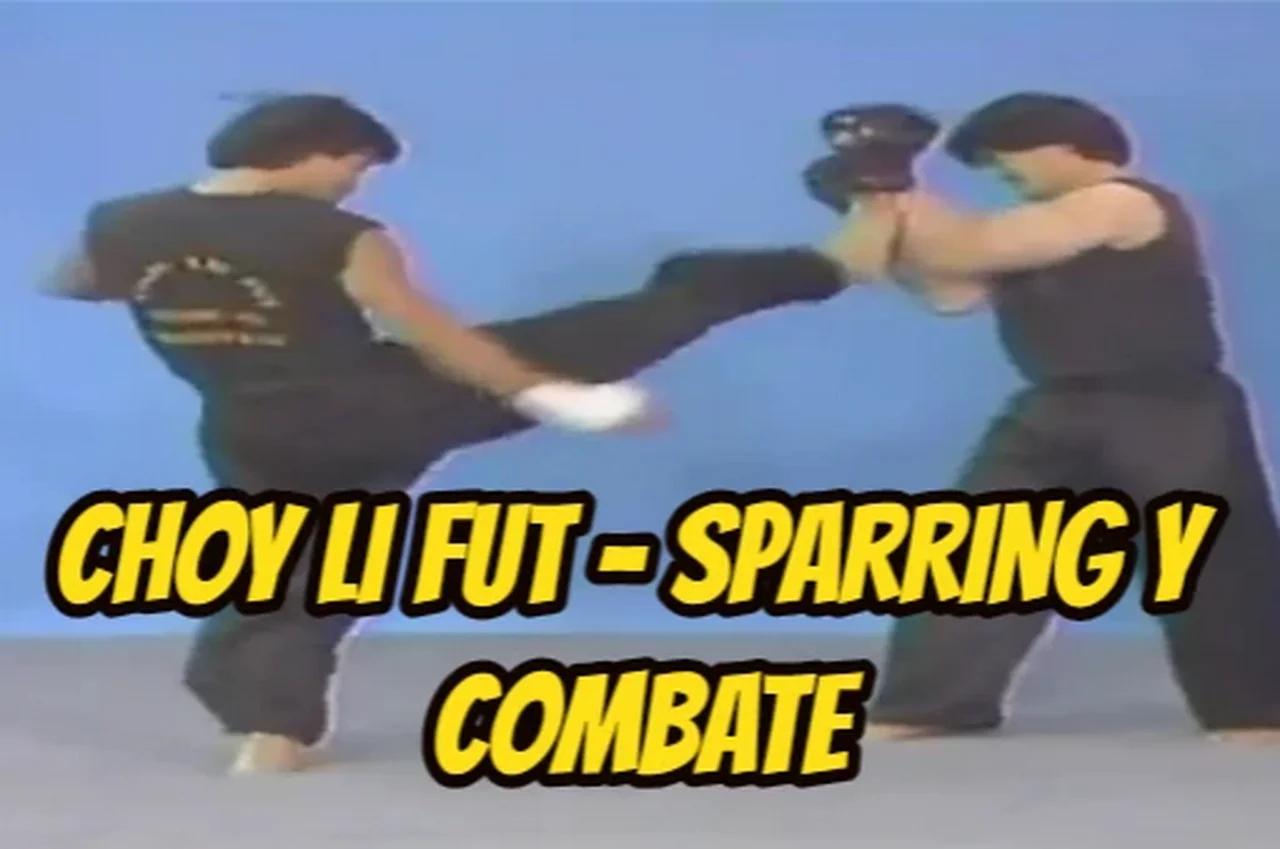 CHOY LI FUT - SPARRING Y COMBATE - Tutorial