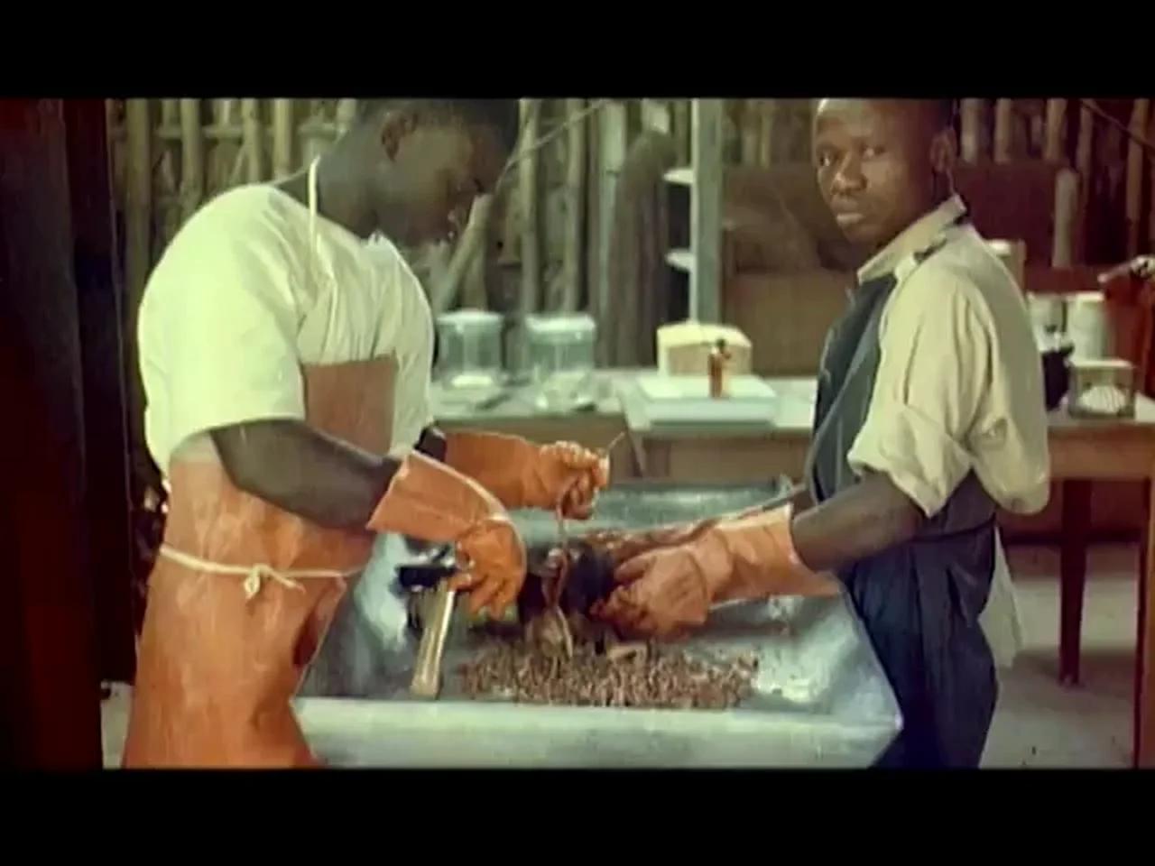 THE ORIGINS OF AIDS - Full Documentary, 2004 [Cecil Fox, Simon Wain ...