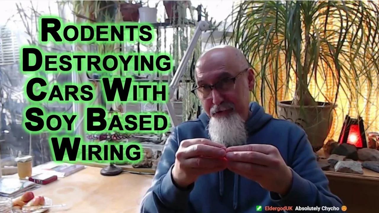 Rodents Destroying Cars With Soy Based Wiring, Causing Thousands of ...