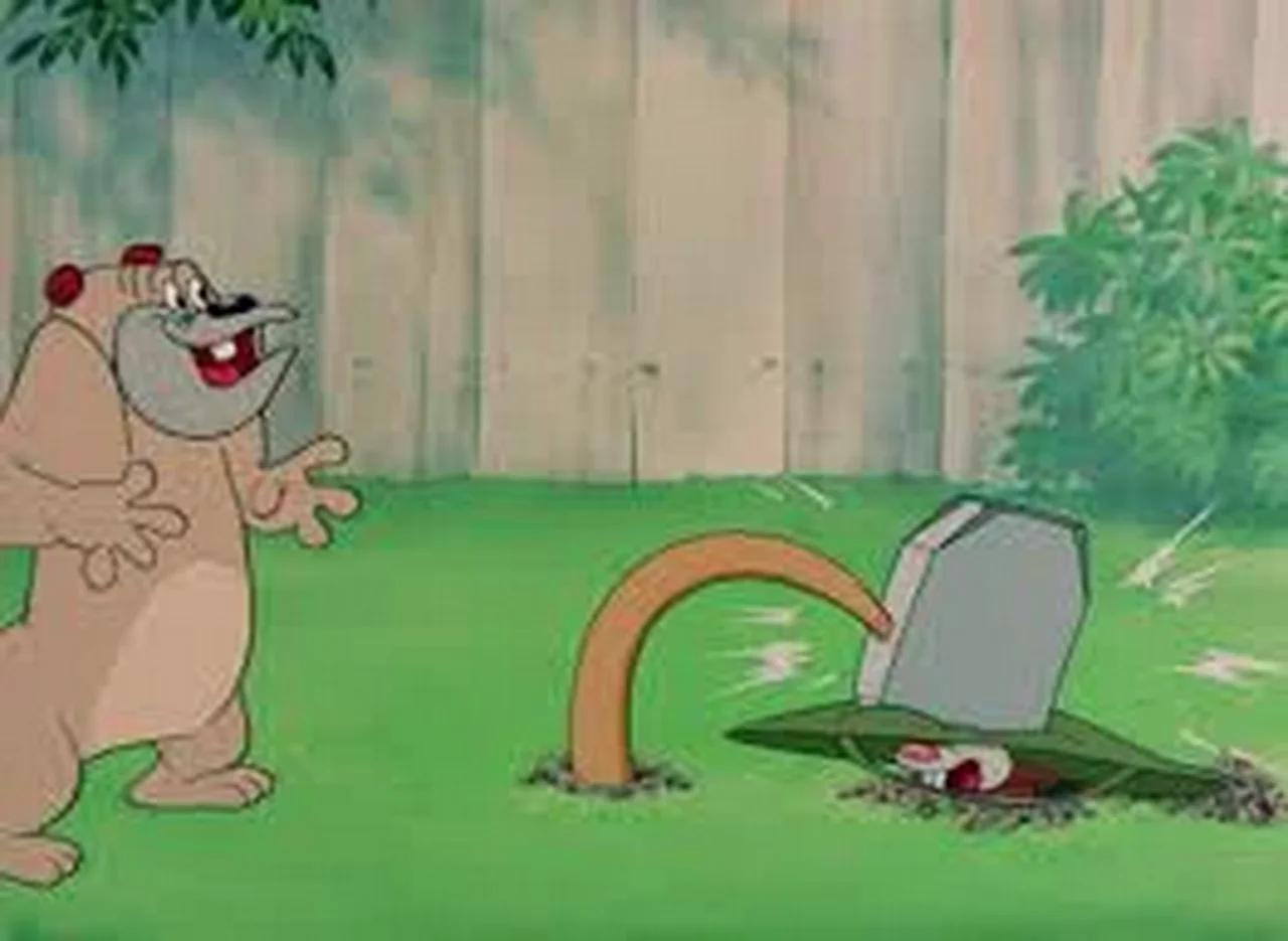 Garden Gopher (1950)~ Classic Cartoon Ep4 #cartoons 😁😁😂😂🤣
