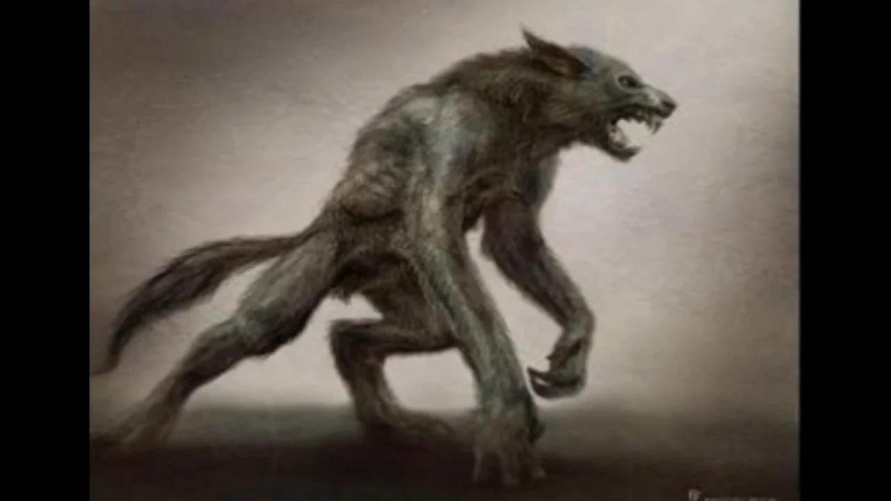 Cryptids Unveiled Introduction