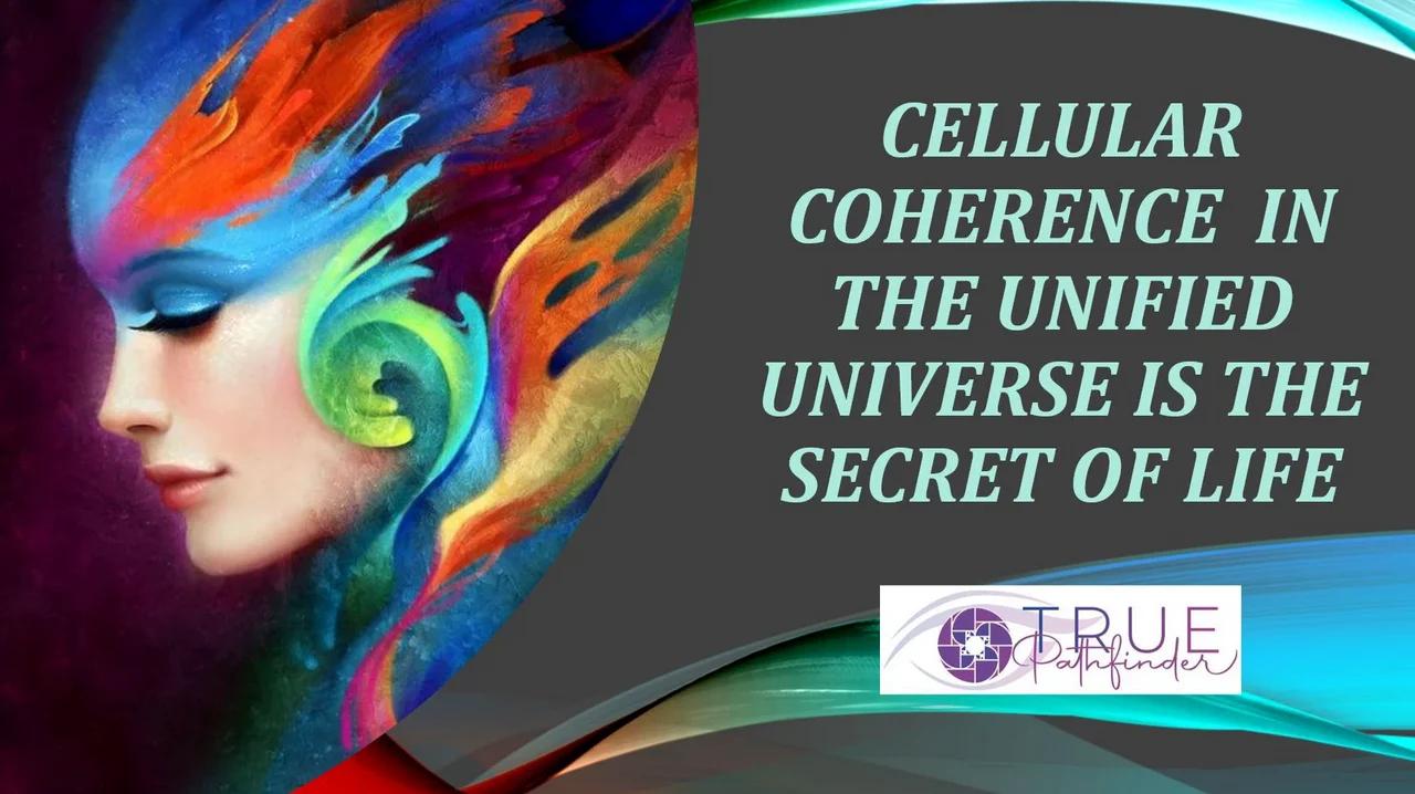 CELLULAR COHERENCE IN THE UNIFIED UNIVERSE - THE SECRET OF HEALTH ...