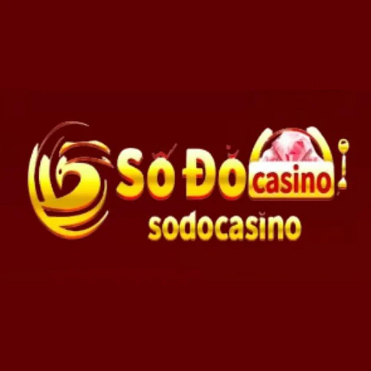 Sodo - Sân Chơi Hiện Đại, Trải Nghiệm Đỉnh Cao