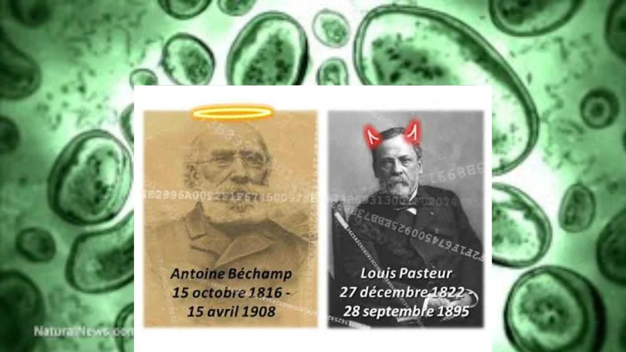 Les microzymas Cours 1 : Antoine Béchamp