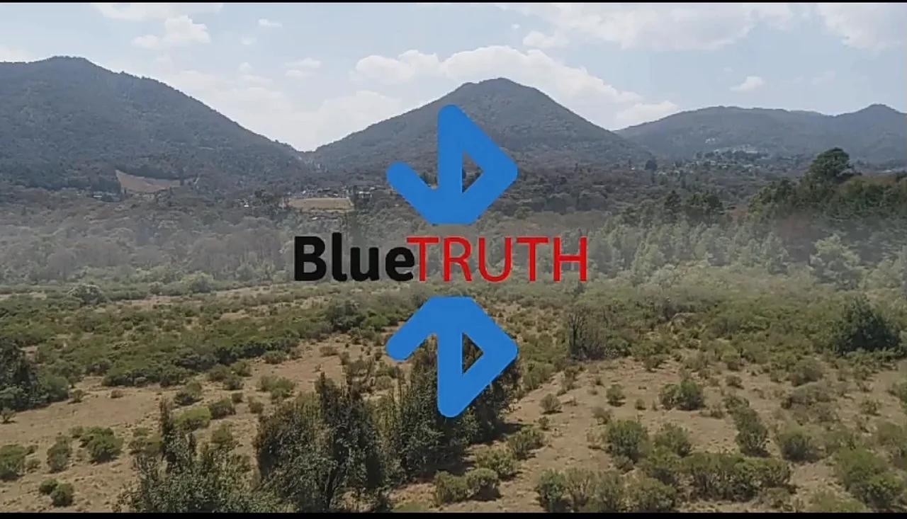 BLUETRUTH (2022)