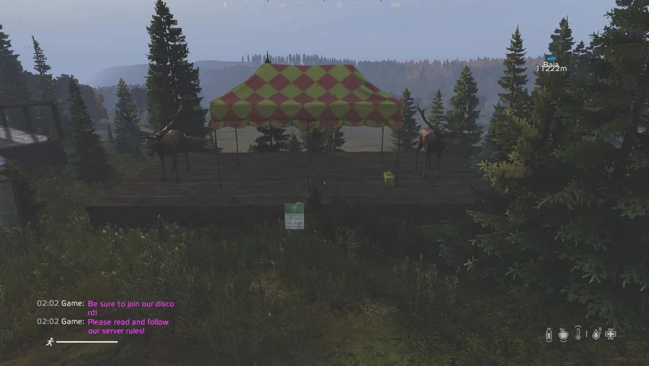 Dayz Stream