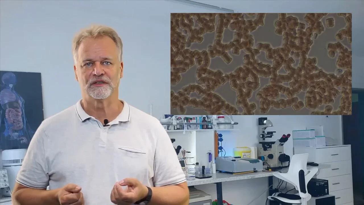 Andreas Kalcker: Unterschied zwischen MMS und CDL - Wirkweise ...