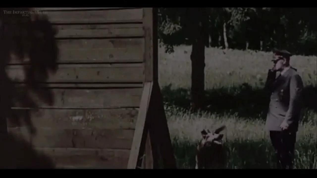 Adolf Hitler Peace Will One Day Come