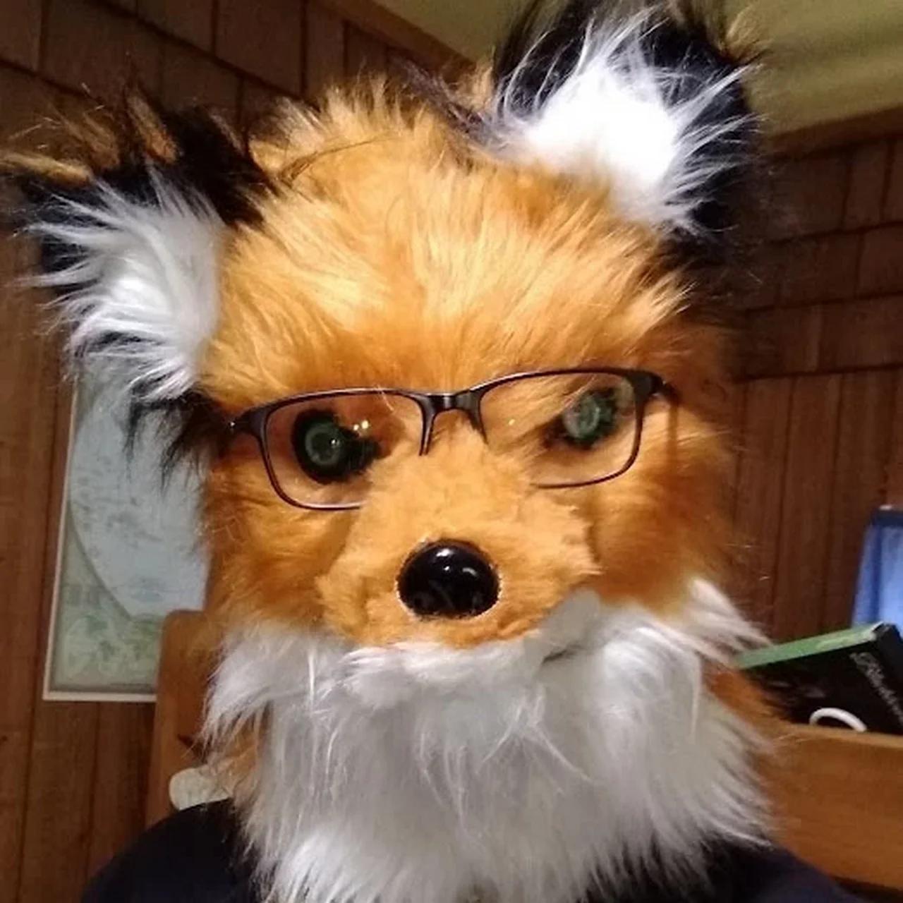 Mr Fox Enterprises