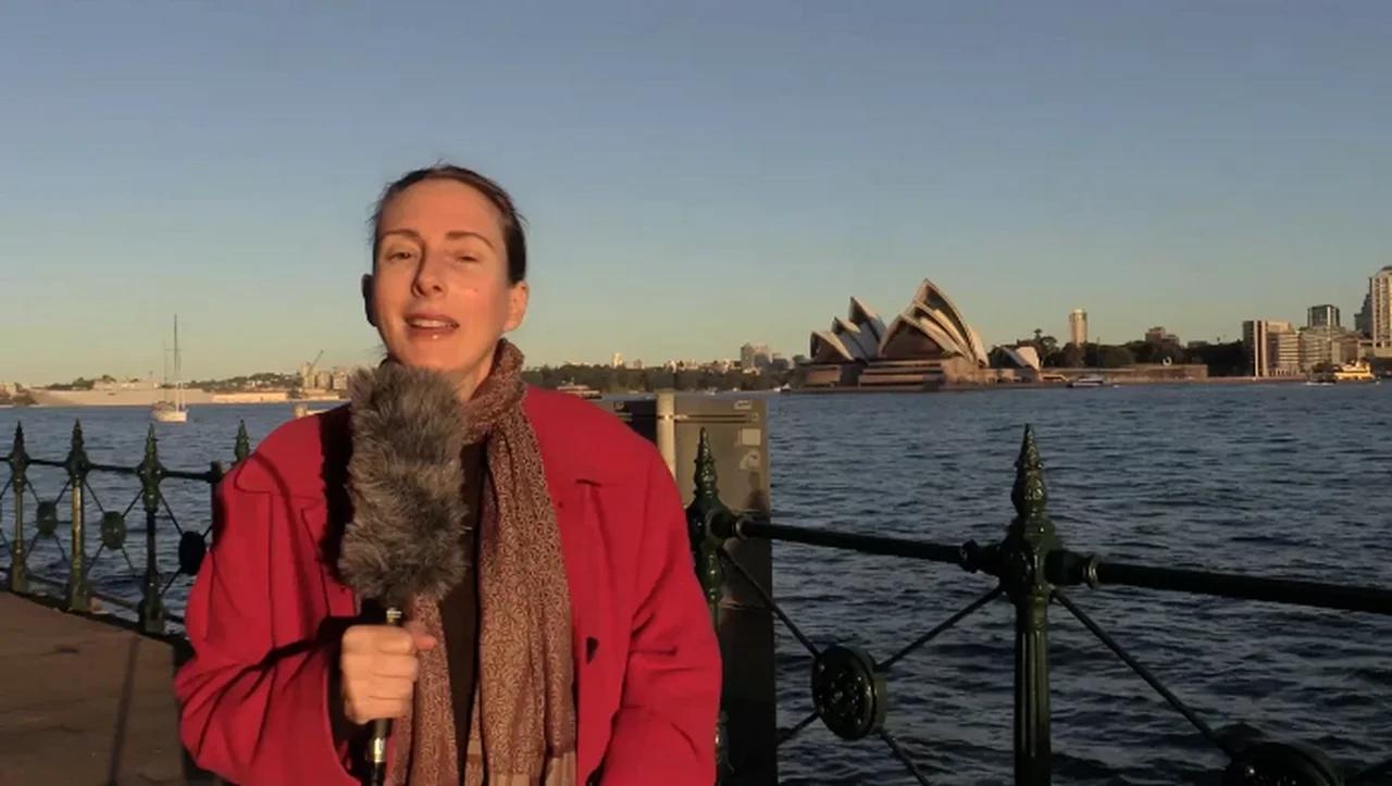Forest of the Fallen ||| Report by Alison Bevege 'Letters from Australia'