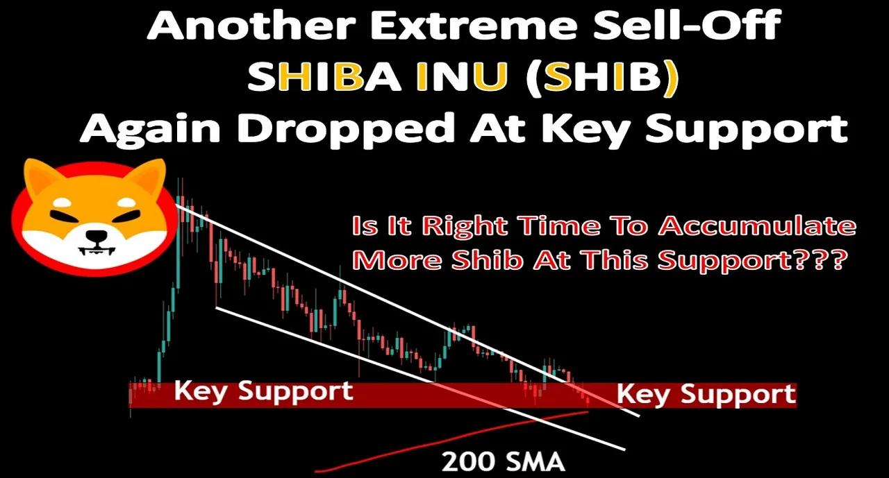 SHIBA INU (SHIB) Again Dropped At Key Support | Is It Right Time To ...