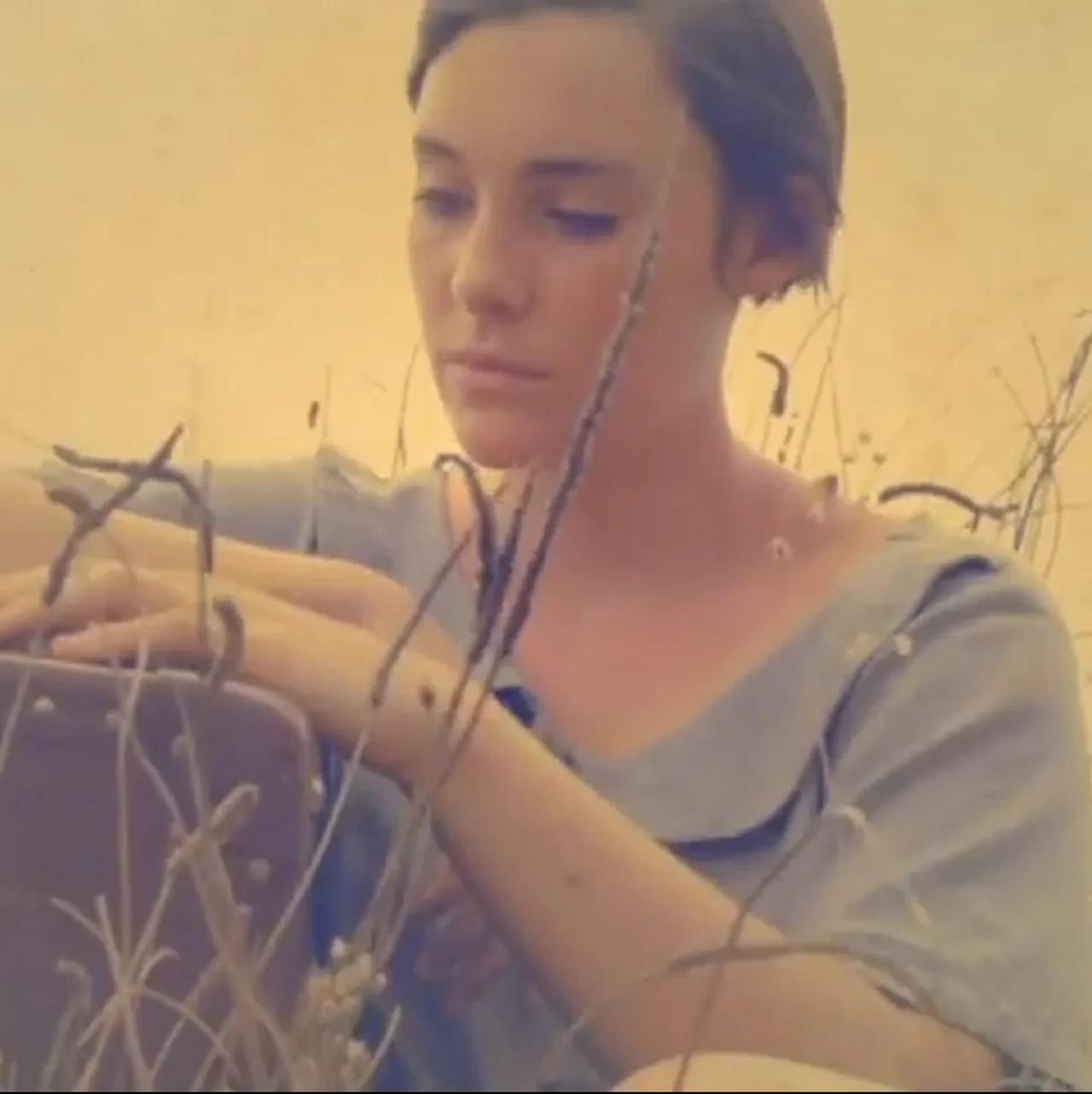 Lisa Mitchell (Artist)