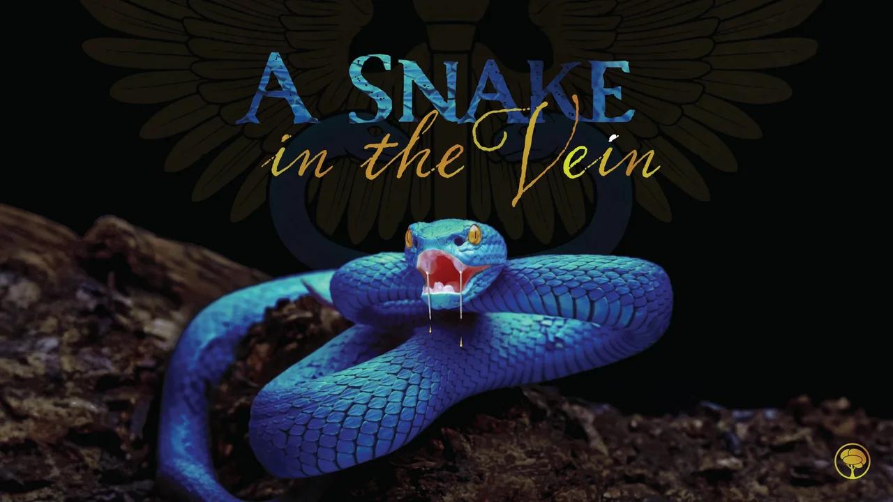DDNH 199 A Snake In The Vein