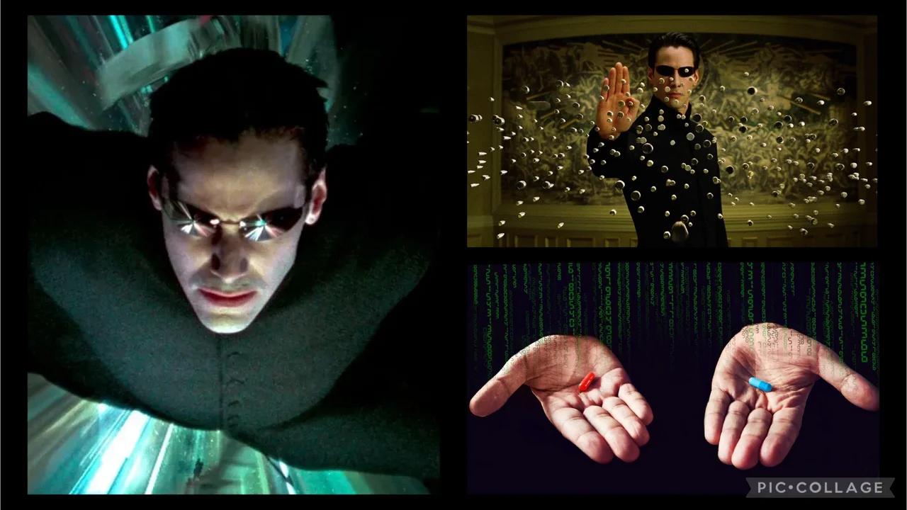 THE MATRIX (MACHINE WAR): SENTINELS / SENTIENT WORLD SIMULATION ...