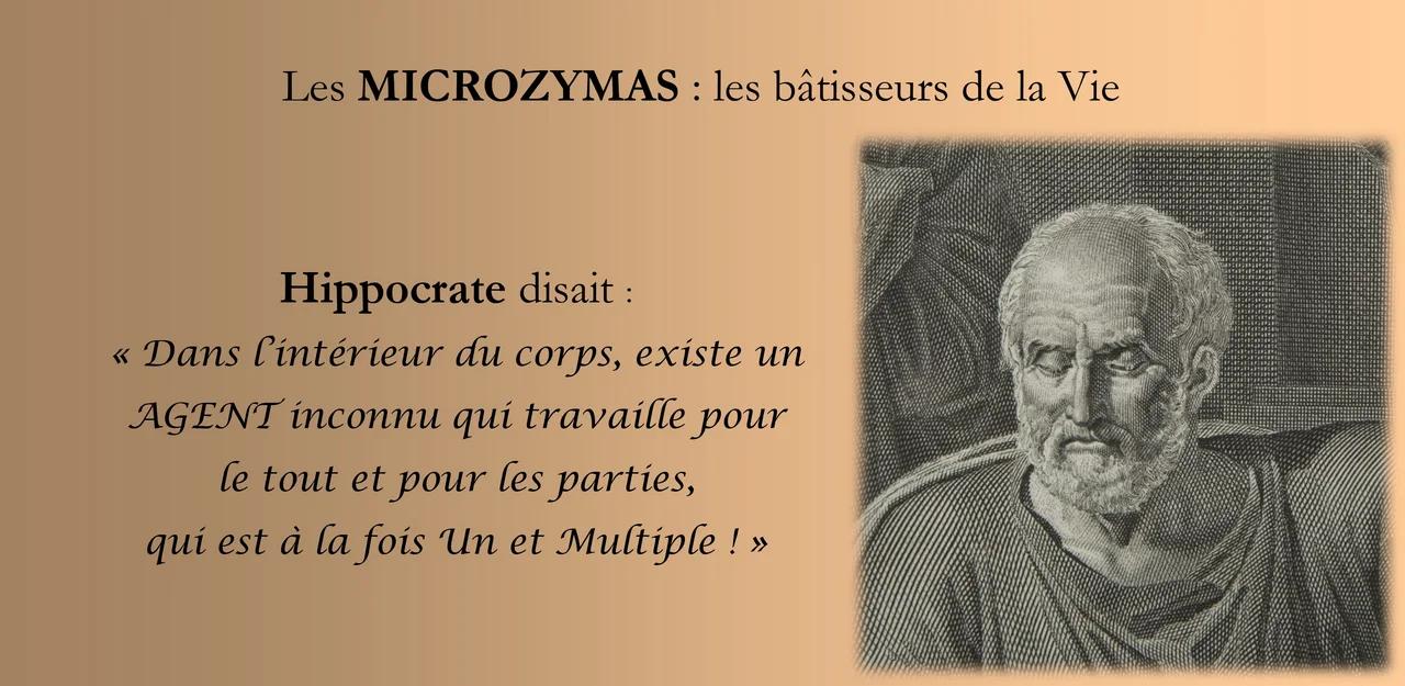Les microzymas : pour tenter de comprendre le vivant - Pr Antoine ...