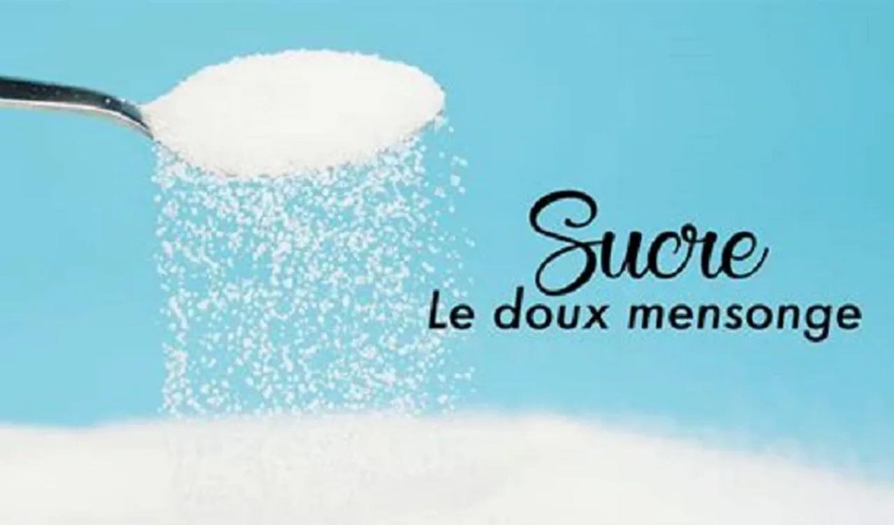 1356 - Sucre, le doux mensonge