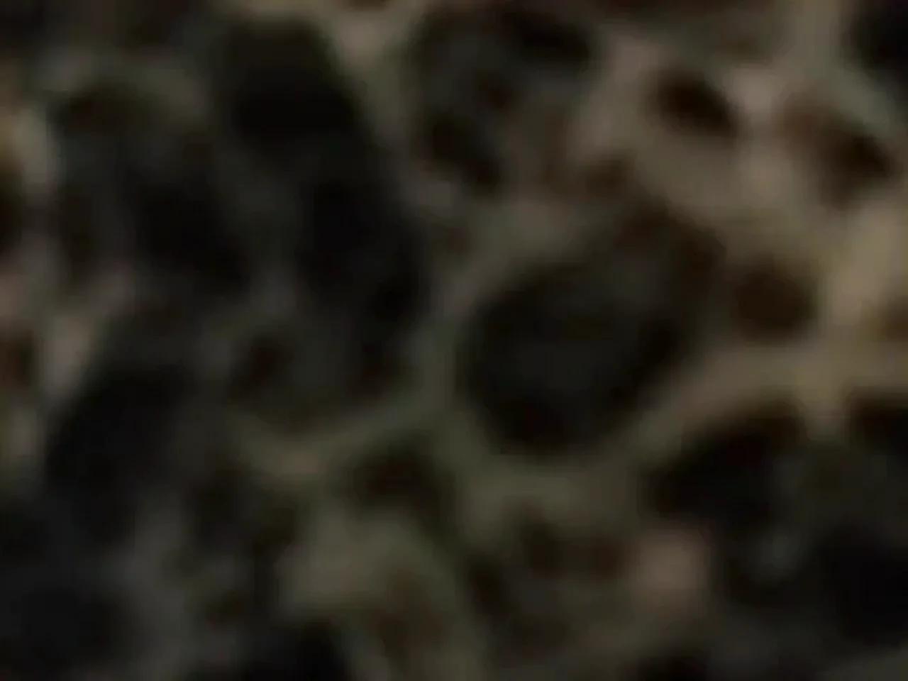 La Dimension Desconocida -S02E07 - JUSTO A TIEMPO color