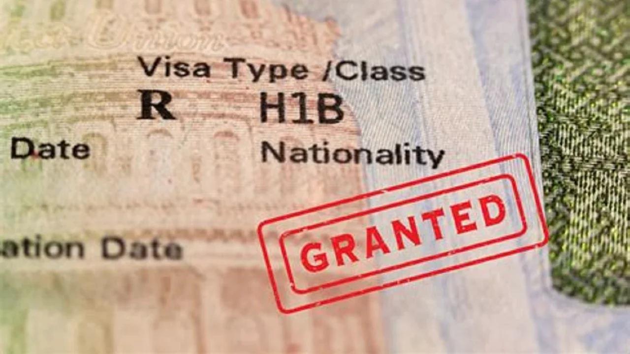 How Does The H 1b Visa System Work By American Renaissance