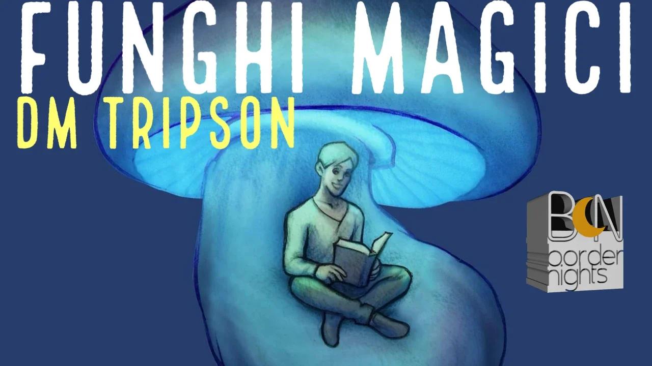 FUNGHI MAGICI: COSA SONO, GLI EFFETTI SULLA MENTE, I RISCHI - DM TRIPSON