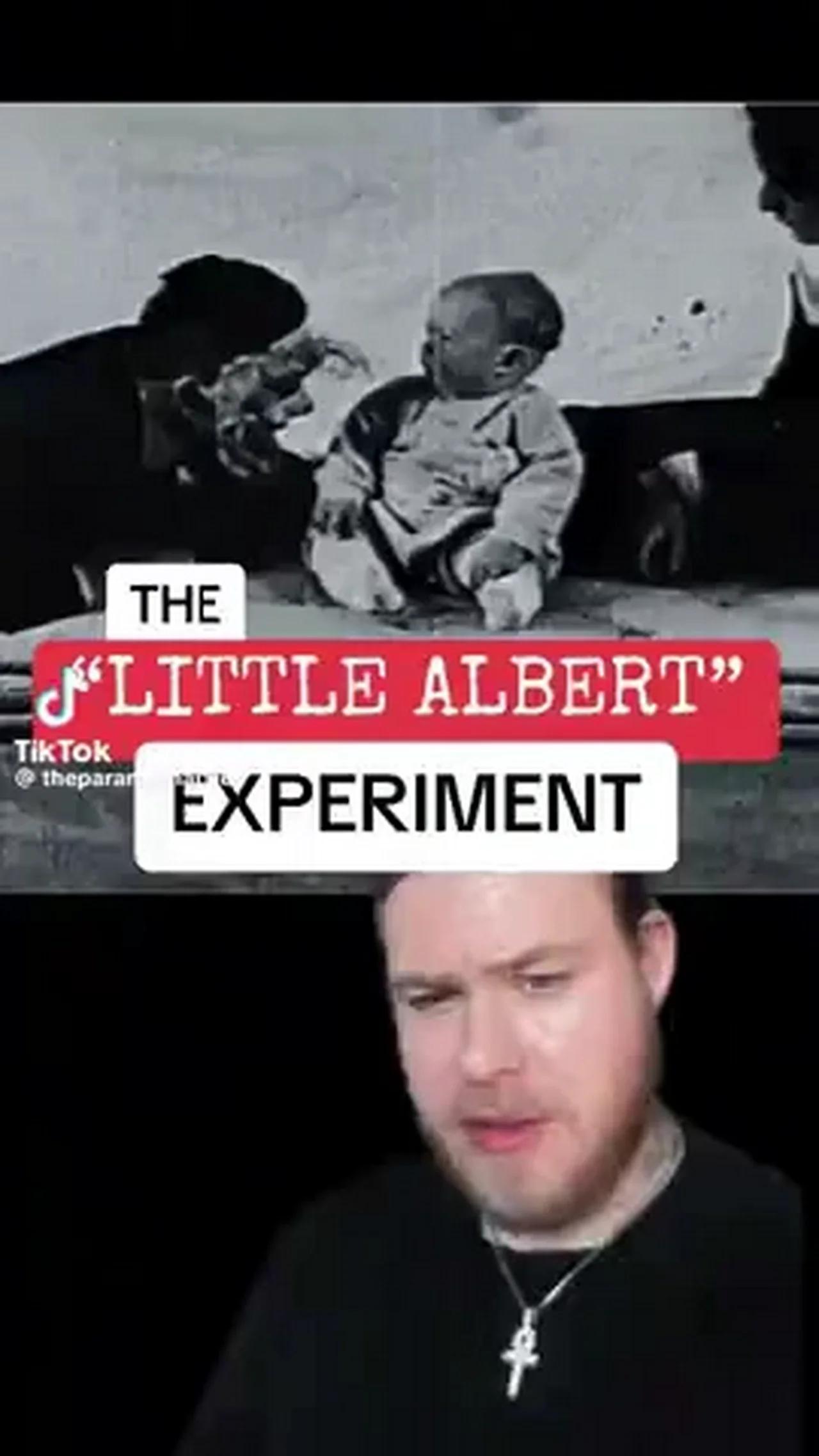 THE LITTLE ALBERT EXPERIMENT 🥼🧪👶🏻