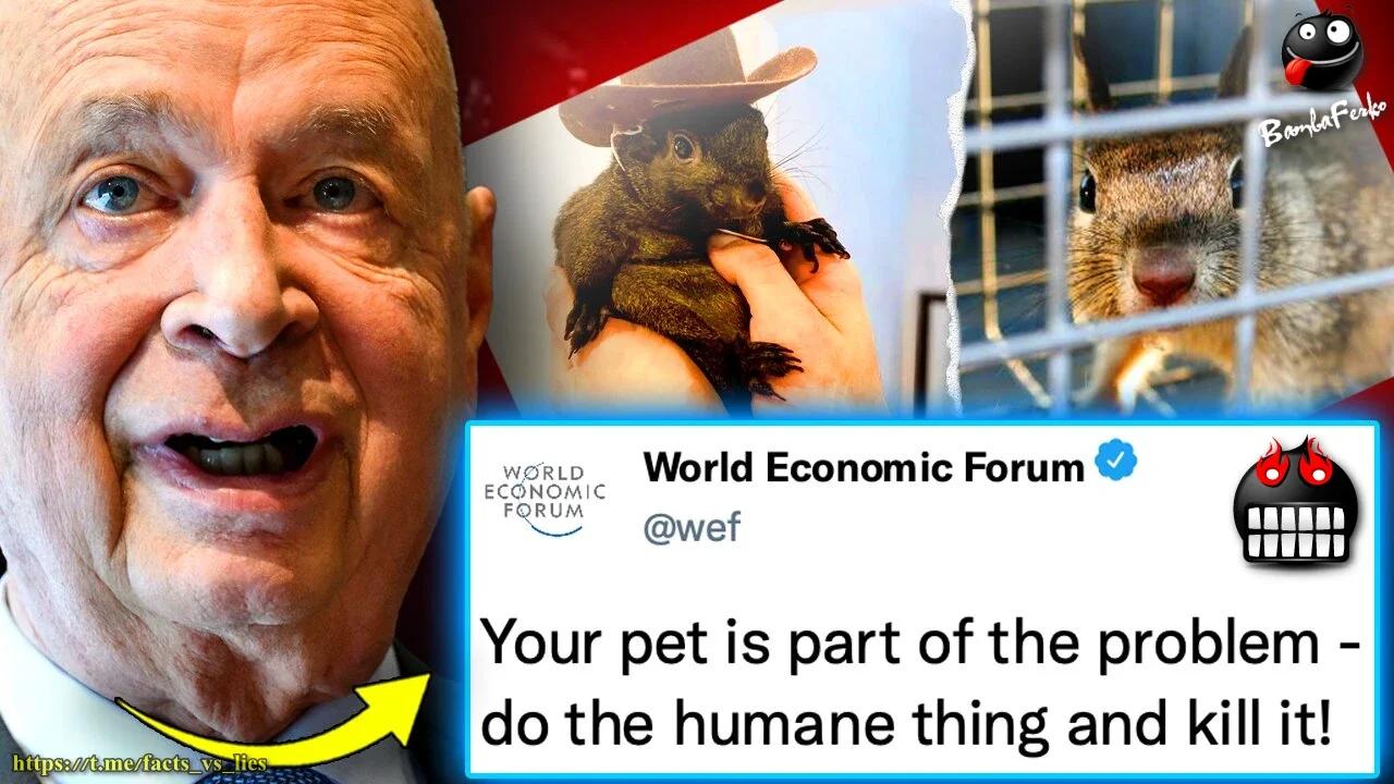 WEF Orders Slaughter of Pets Owned by Citizens With Low Social Credit ...