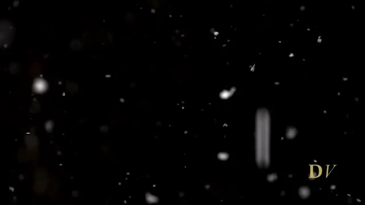 Lugenpresse Find Motive for the Las Vegas Shooting by Vertigo Politix