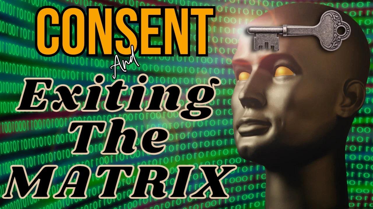 NDE | Had To CONSENT | Memories Were HIDDEN Because of Agreement ...
