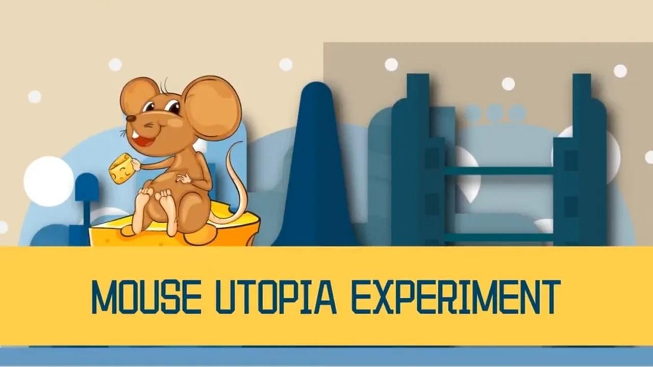 Mouse Utopia Experiment - explanation