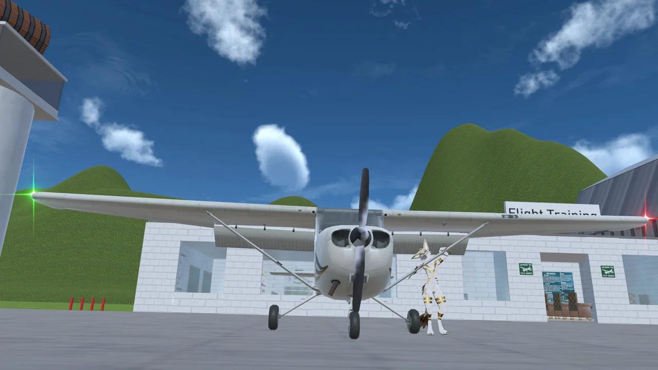 Cessna Skyhawk 172m Emergency Procedures