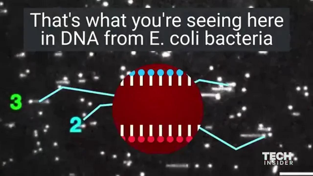 First ever close-up footage of DNA replication [They admit lying about ...