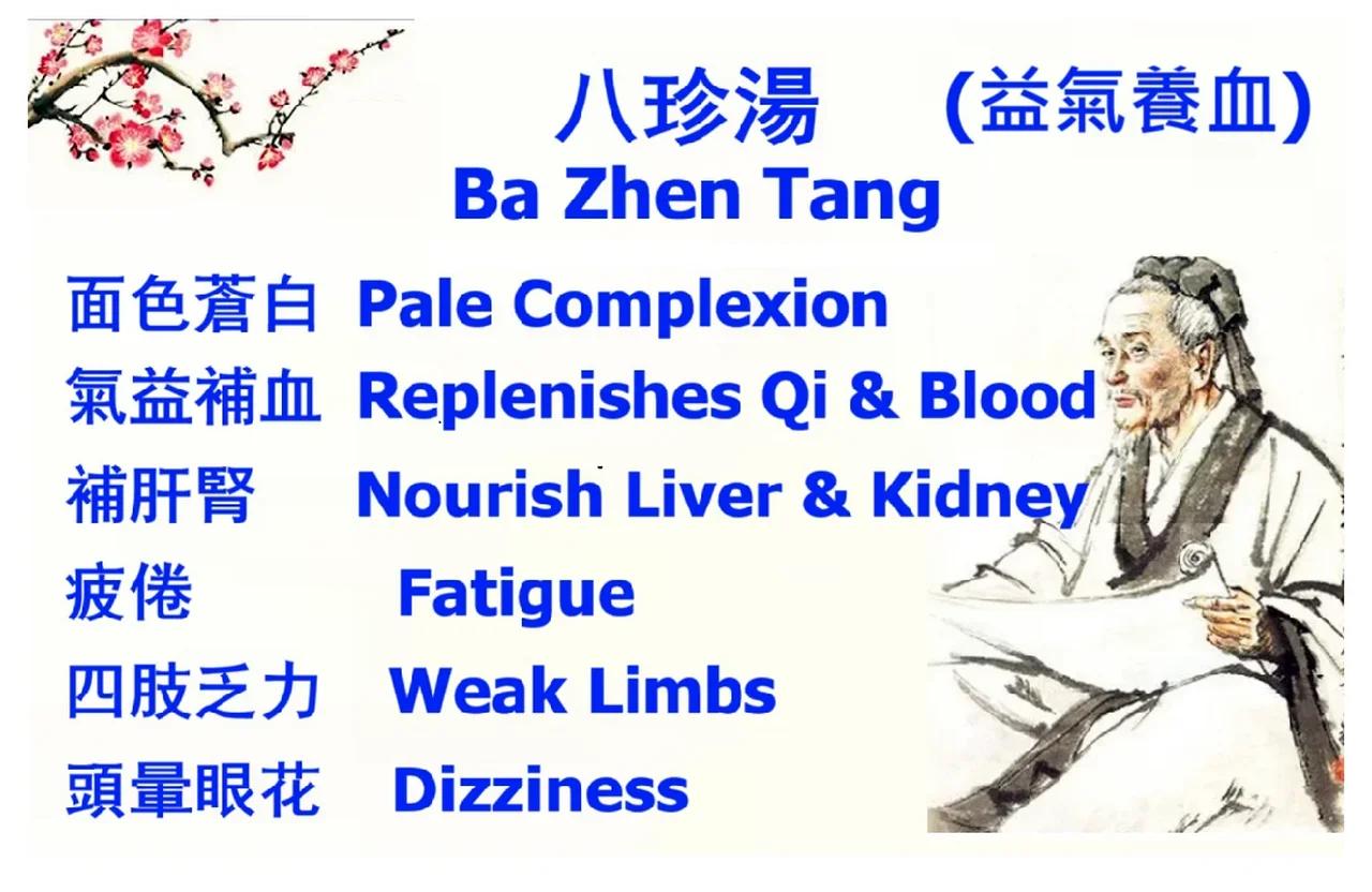 Herbal Medicine: Ba Zhen Tang (Fatigue, Weak Limbs, Pale Complexion ...