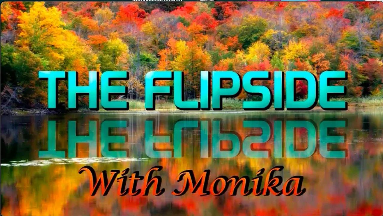 Episode 49 One Year Anniversary of the Flipside with Monika, Return ...